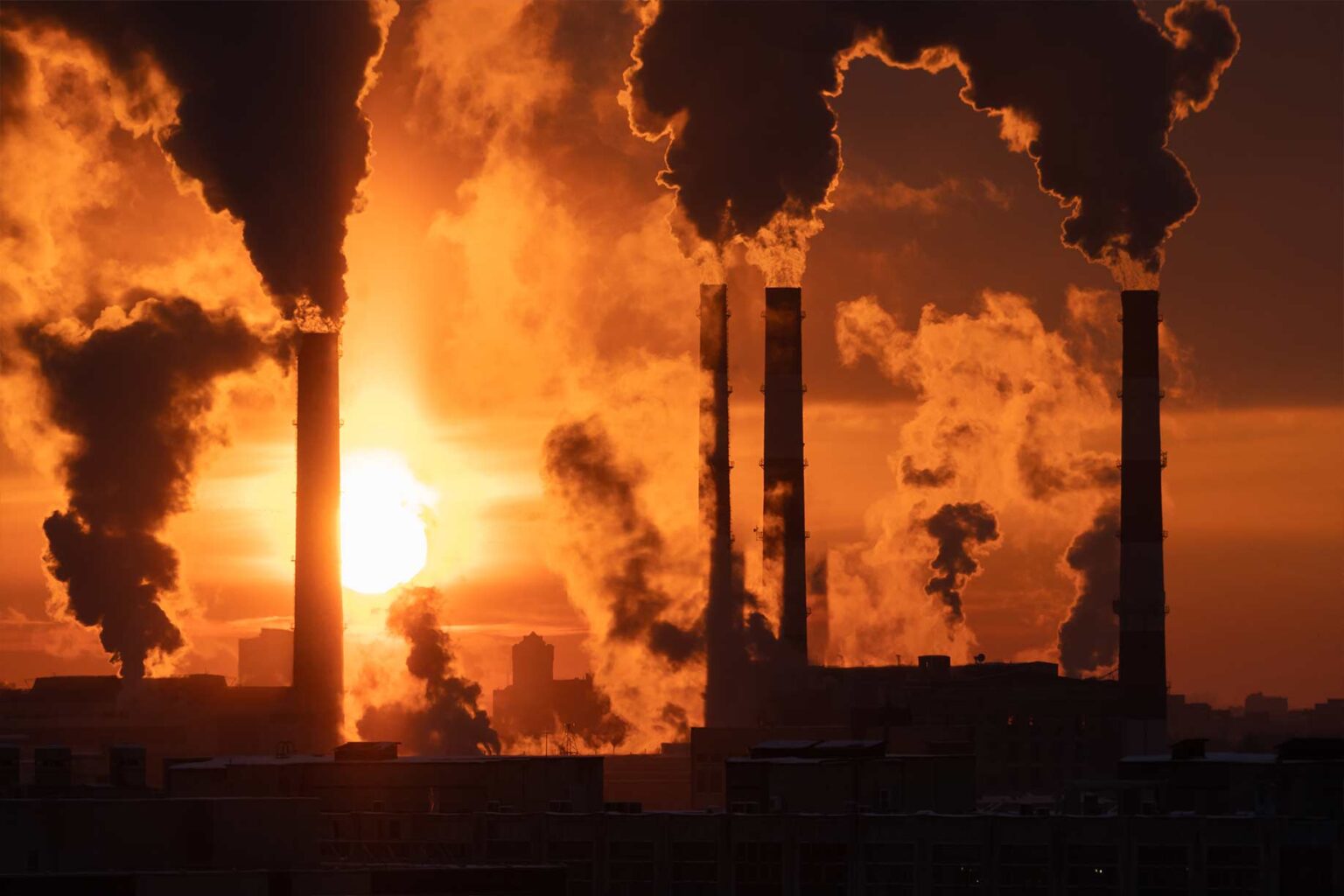 Powerless in South Africa: How Load Shedding Impacts the Farming ...