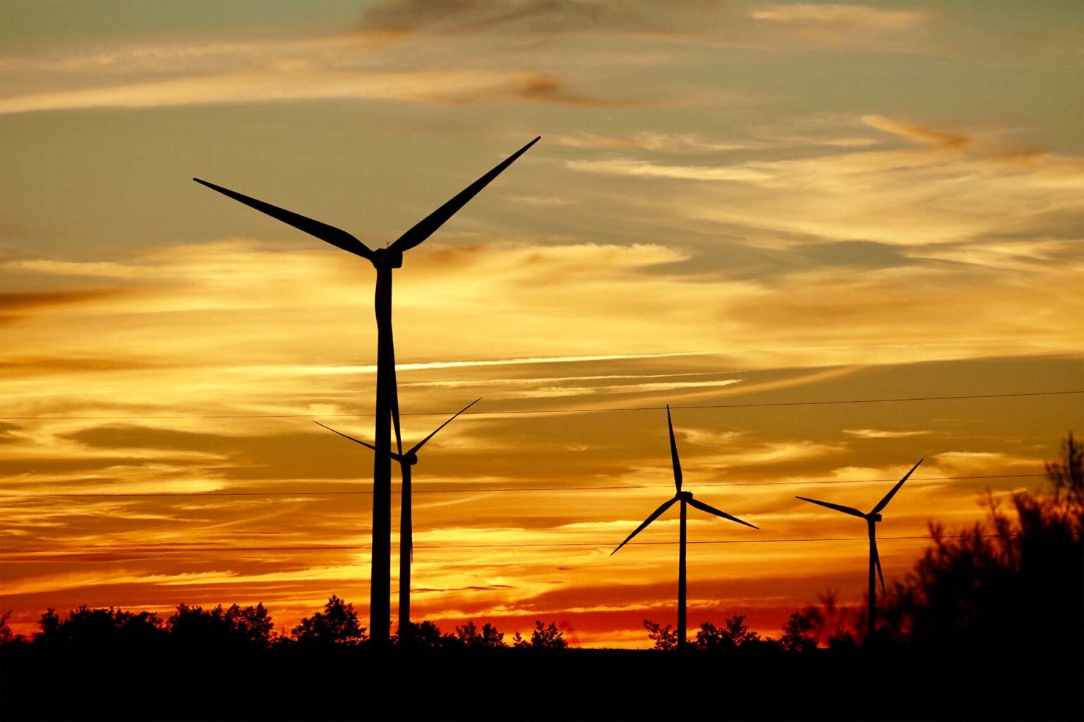 Load Shedding Schedule Port Elizabeth Loadshedding